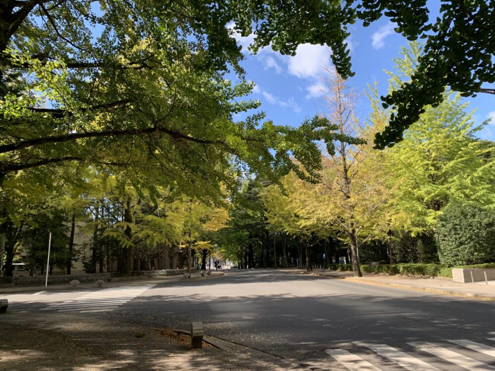 勾当台公園が全面禁煙にー仙台市は喫煙対策で港区や千代田区を見習え！ | tn-luckの部屋